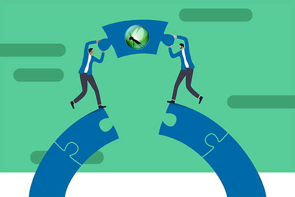 Locust with Python: Introduction, Correlating Variables, and Basic ...